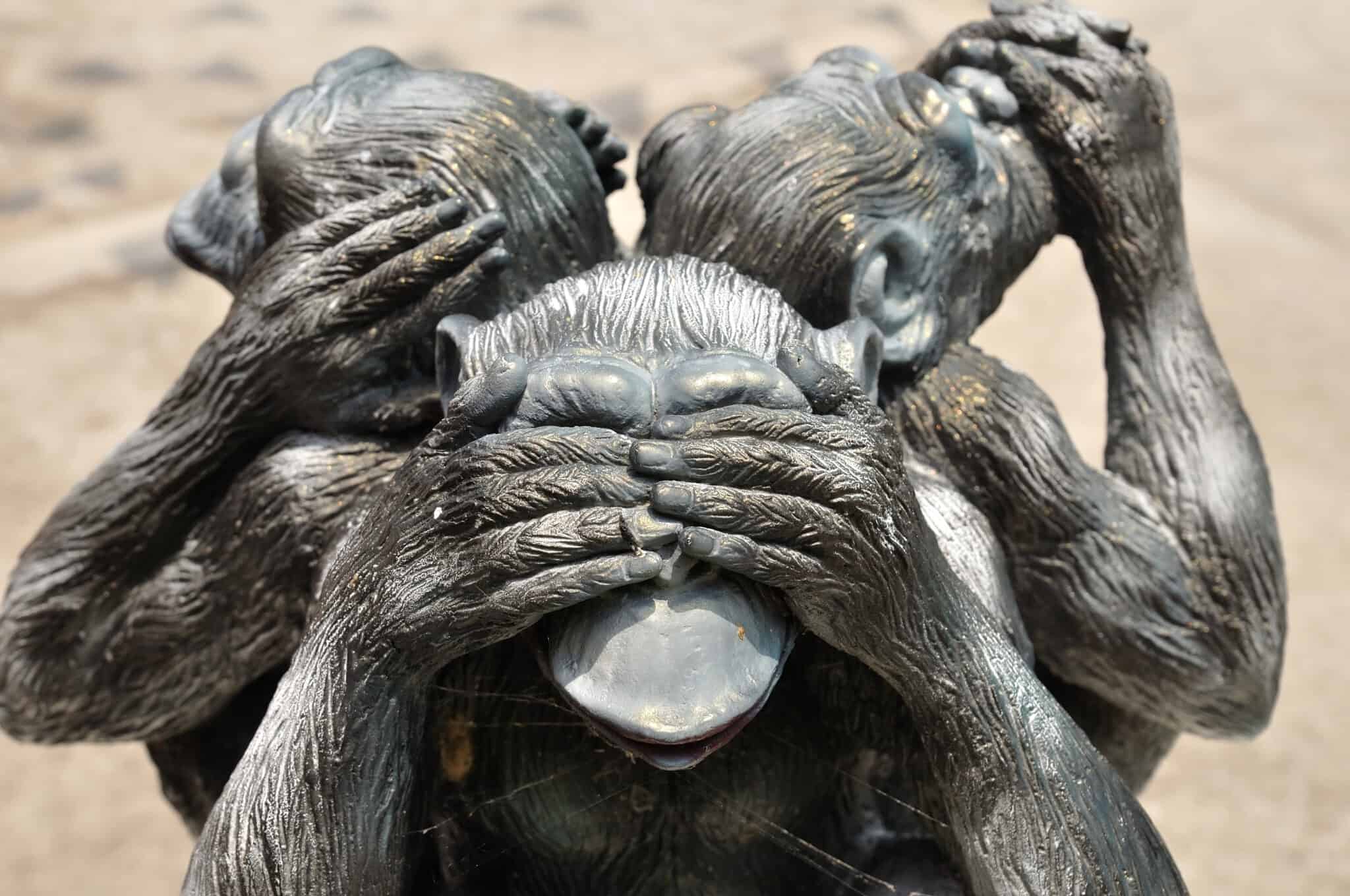 Ape Quiz: What's Your Primate Knowledge? - A-Z Animals