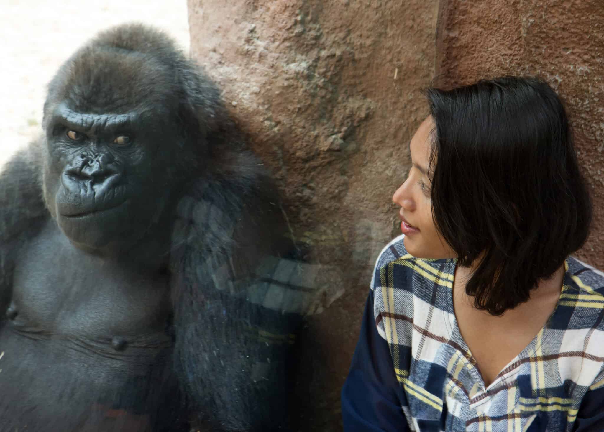 Discover 7 Heroic Animals That Save Human Lives - A-Z Animals