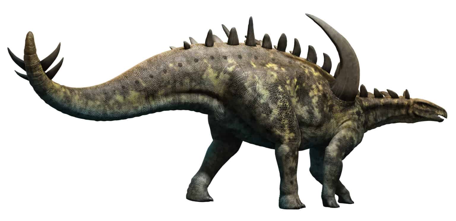 Meet 10 Thyreophorans: Shield Wearing Dinosaurs with Armor Plating - A ...