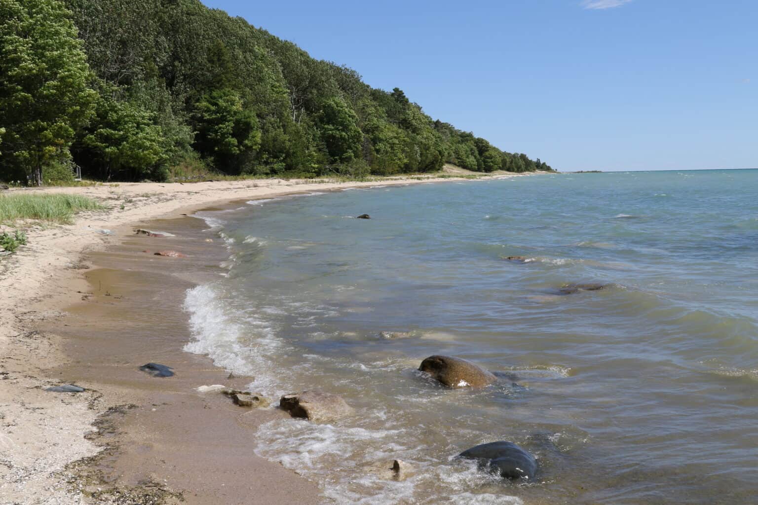 Michigans 7 Best Bird Watching Spots This Summer - A-Z Animals