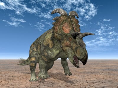 10 Dinosaurs With Horns - A-Z Animals