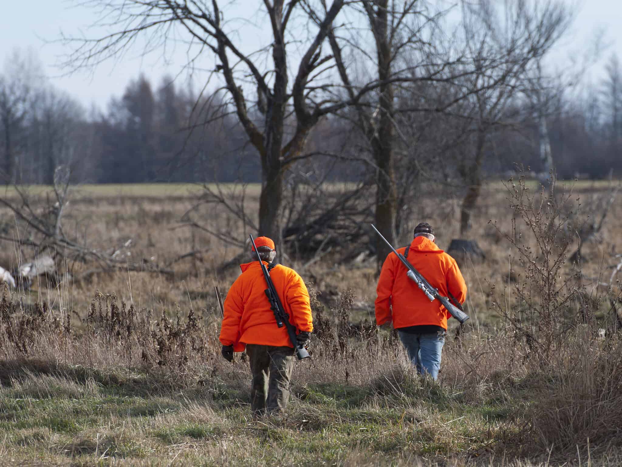 Deer Season In Illinois: Everything You Need To Know To Be Prepared - A ...