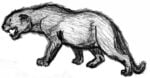 Dinofelis Animal Facts - Dinofelis - A-Z Animals