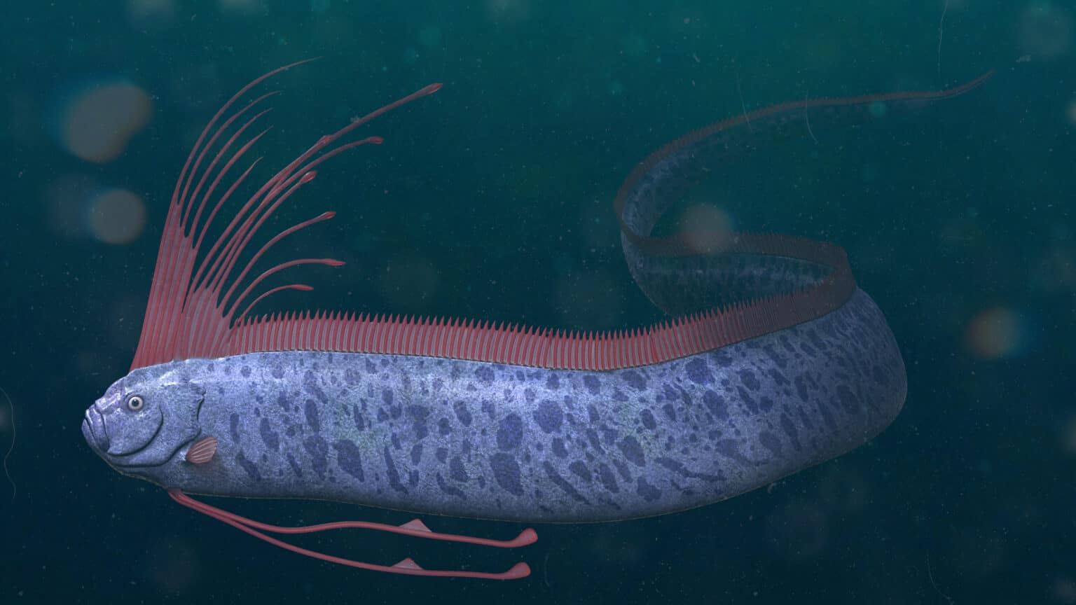 7 Types of Snakehead Fish - A-Z Animals