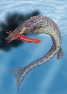Hainosaurus Animal Facts - Hainosaurus - A-Z Animals