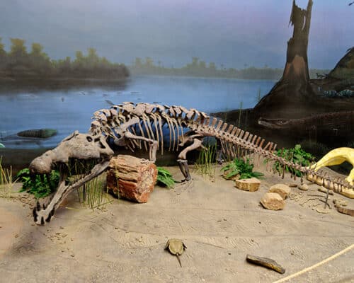What's the Oldest Crocodile Fossil Ever Found? - A-Z Animals