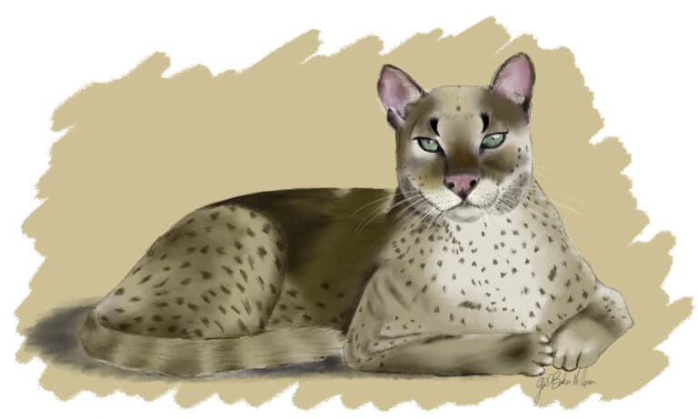 Wildlife in Liberia - Types of Liberian Animals - A-Z Animals