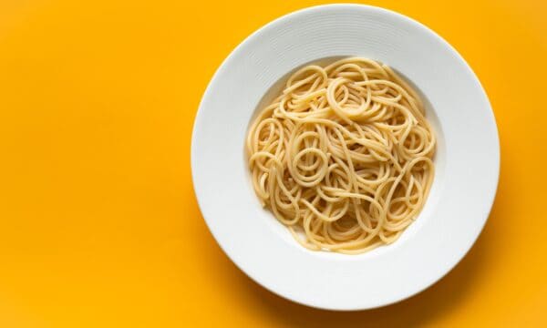 17 Human Foods You Can Safely Feed to Birds - A-Z Animals