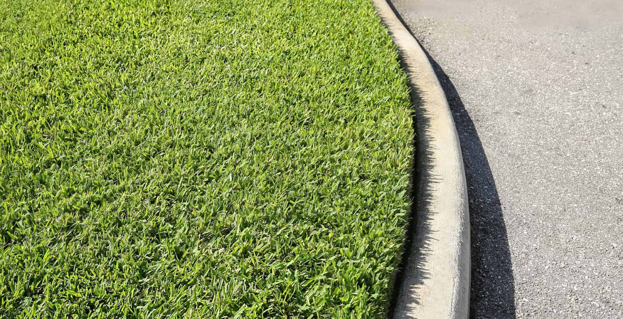 St Augustine Grass vs. Centipede Grass: What's the Difference?