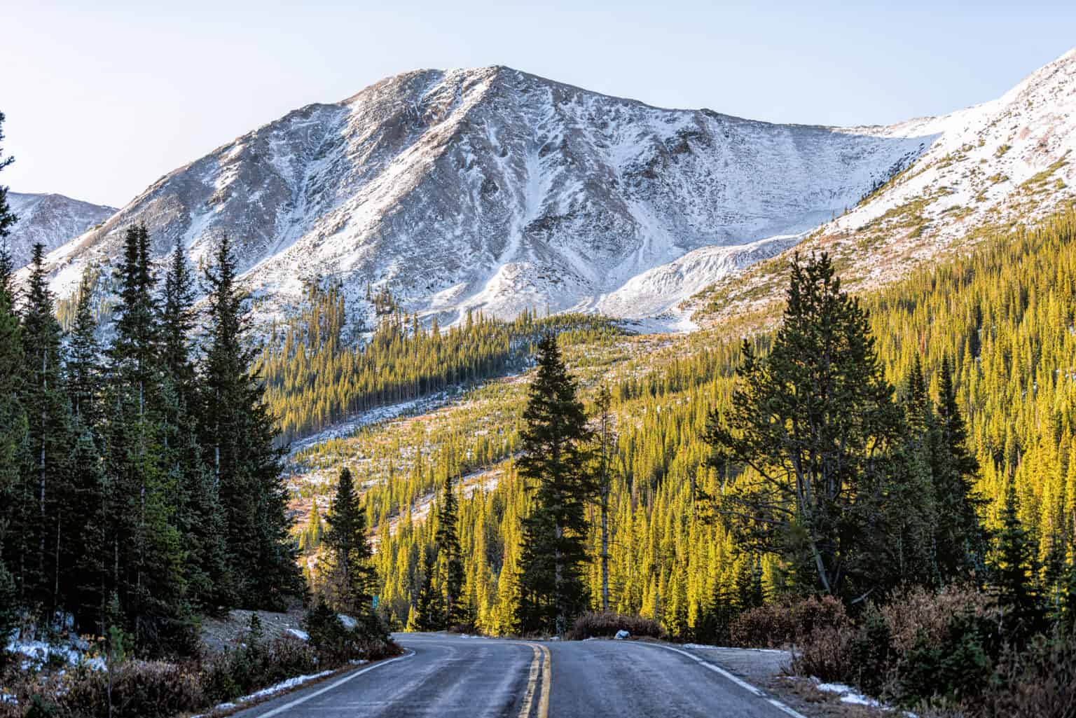 Discover the Largest Forest in Colorado (And What Lives Within It) - A ...