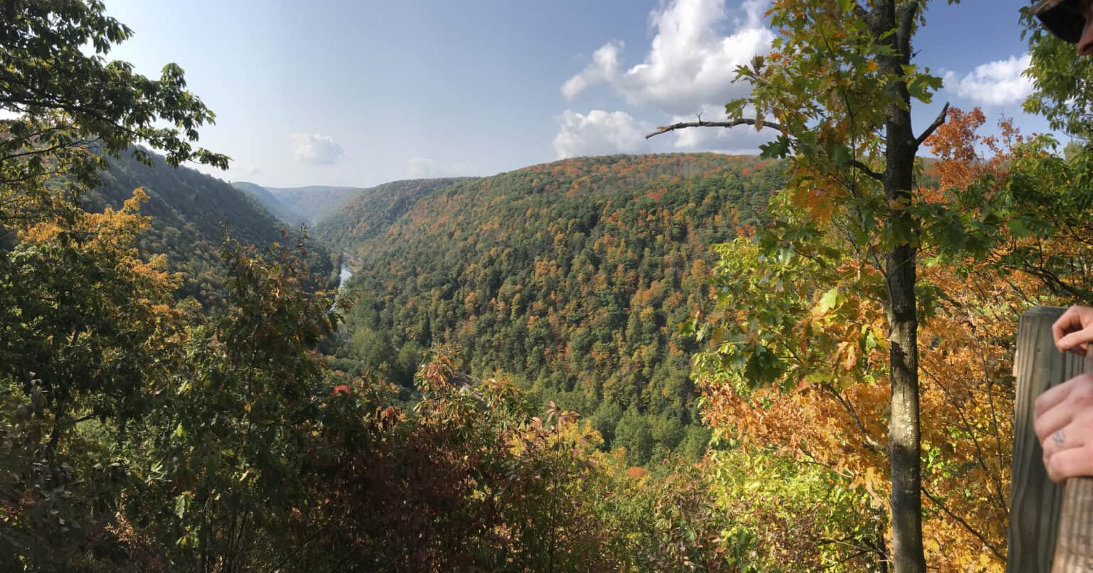Discover When Leaves Change Color in Pennsylvania (Plus 5 Places with ...