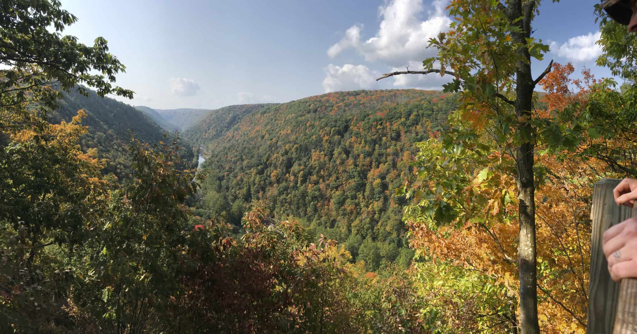Discover When Leaves Change Color in Pennsylvania (Plus 5 Places with ...