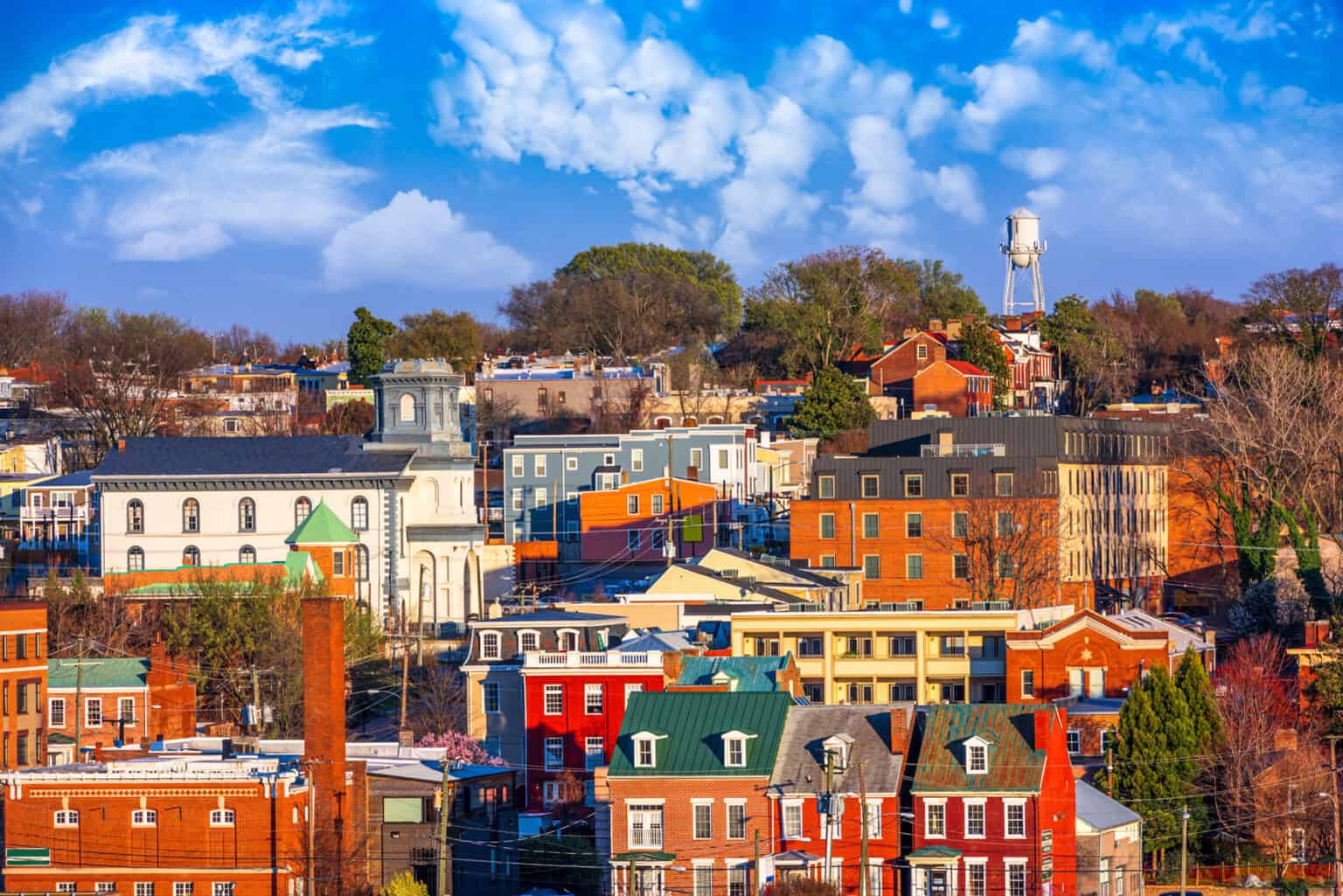 8 Spots in Virginia Teeming with the Most Bears - A-Z Animals