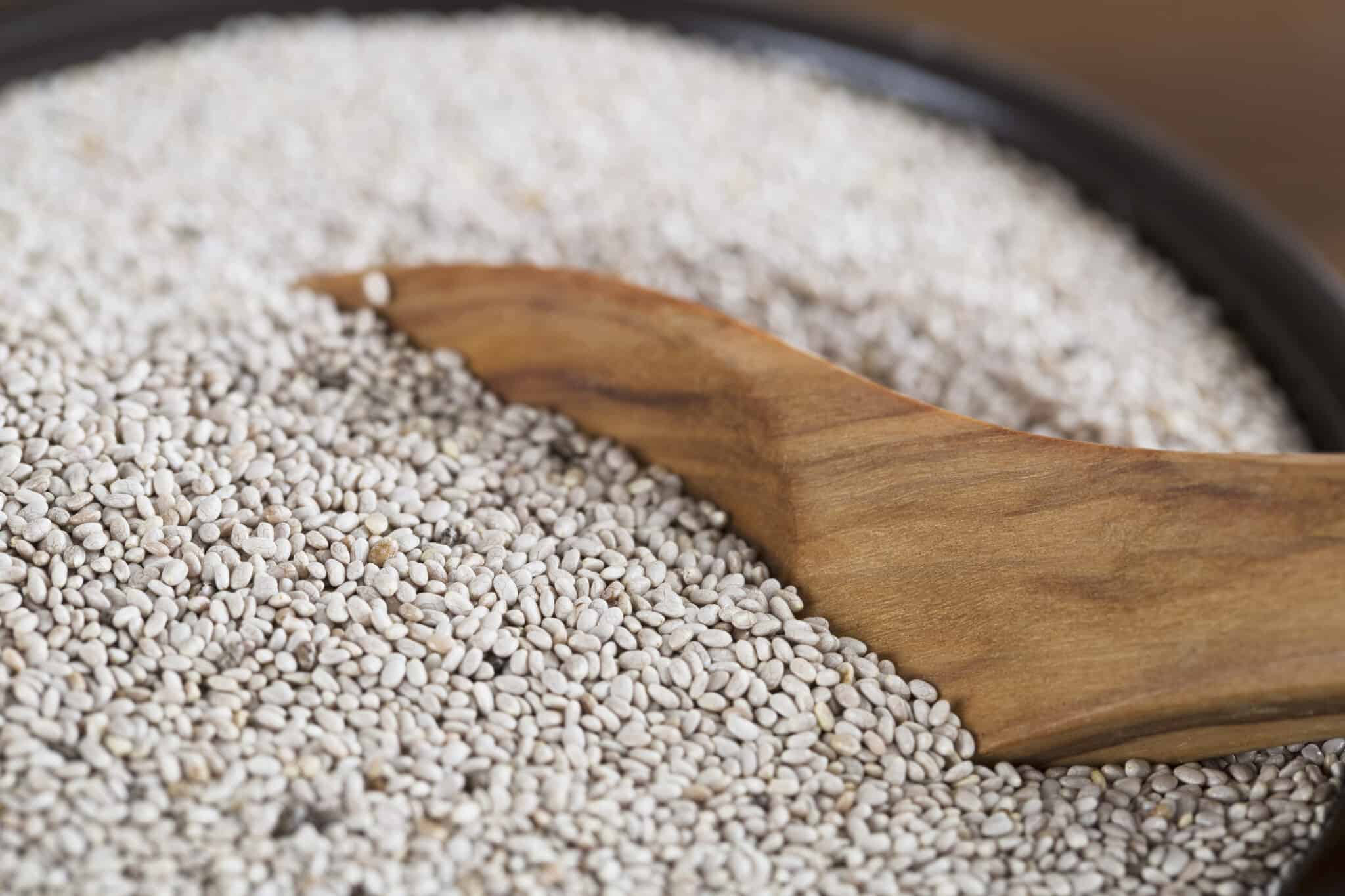 White vs. Black Chia Seeds: Is There a Difference? - A-Z Animals