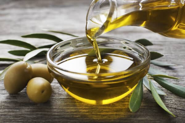 Can Dogs Eat Olives? - A-Z Animals