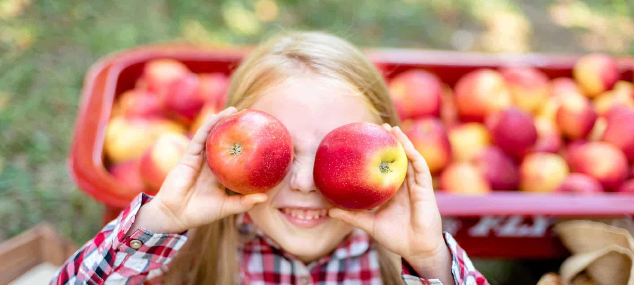 The Best Children's Books About Apples Kids Love - A-Z Animals