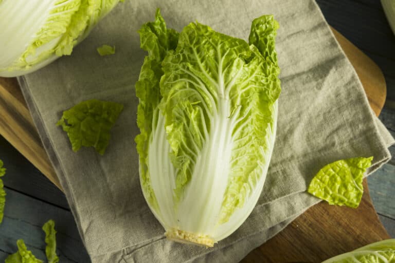 Explore the 58 Vegetables That Start With W - A-Z Animals