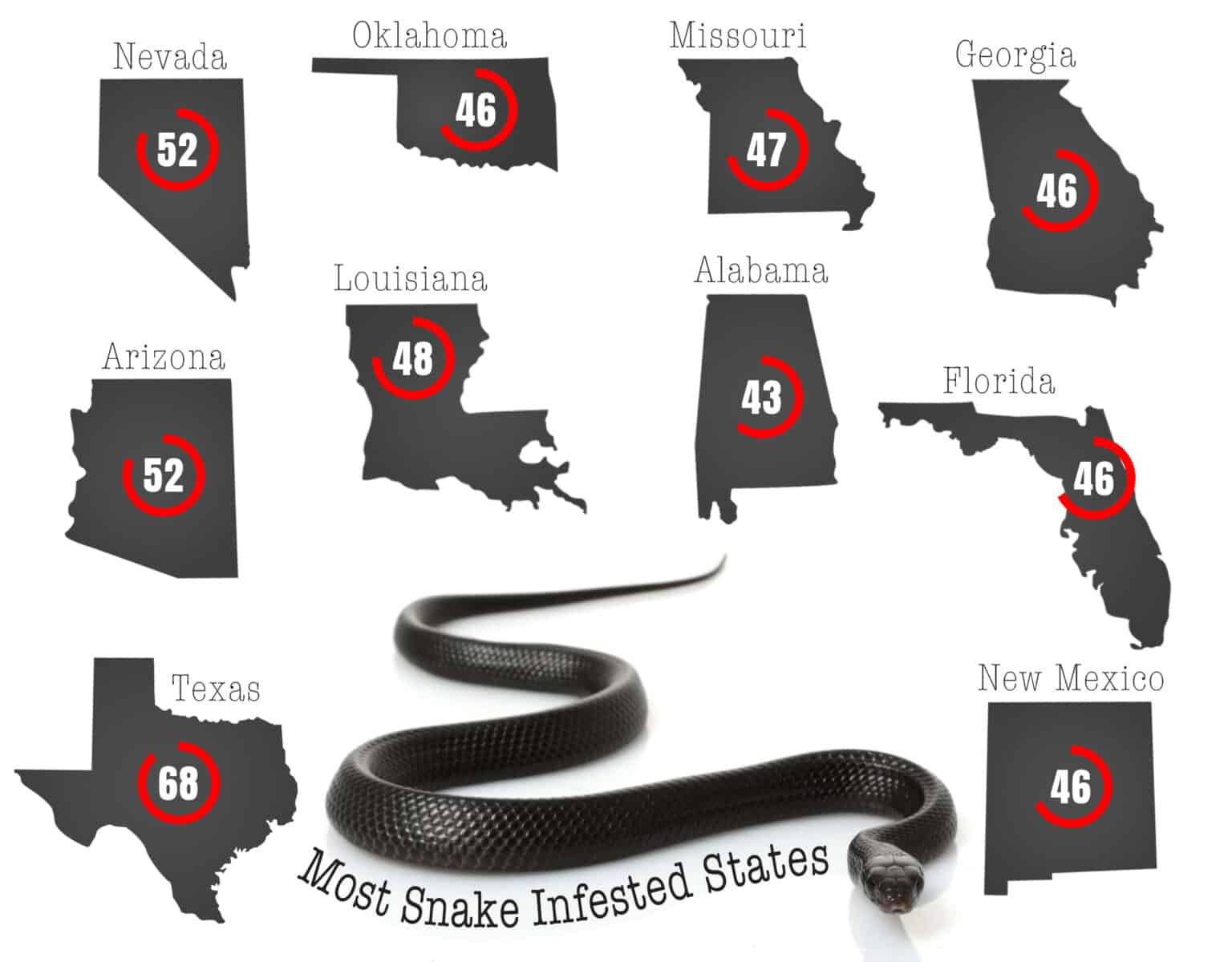 The 11 Most Snake-Infested Areas In The US in 2024 - A-Z Animals