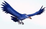 Argentavis Magnificens Animal Facts - Argentavis magnificens - A-Z Animals