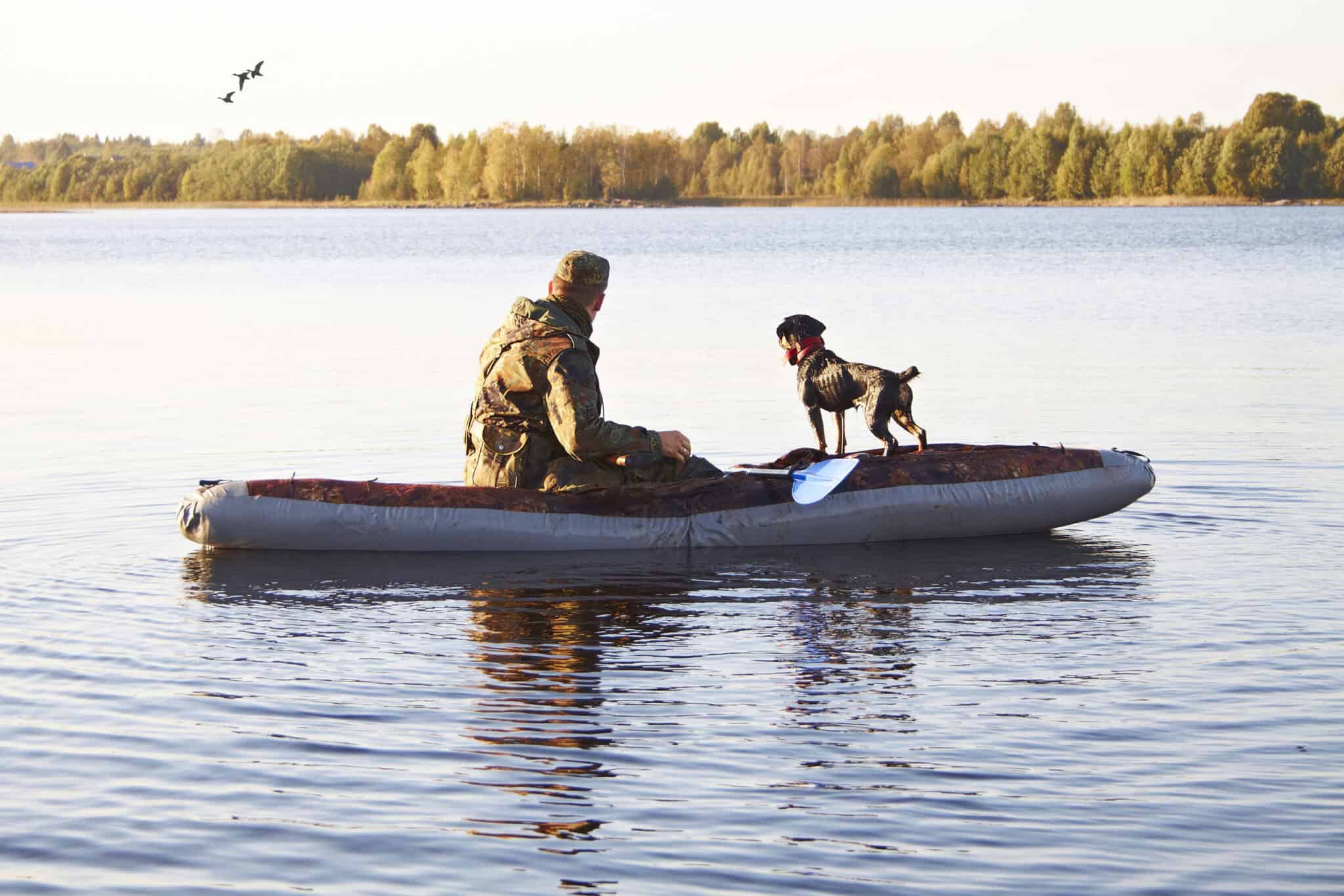 Will Oregon Vote to Ban Hunting and Fishing? - A-Z Animals