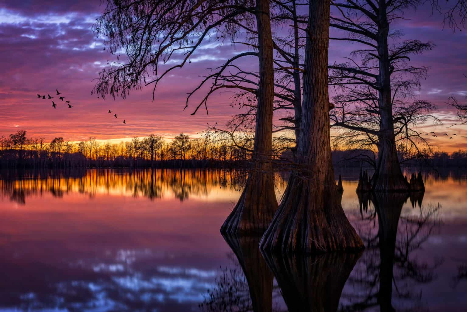 Duck Hunting Season in Illinois: Season Dates, Bag Limits and More - A ...