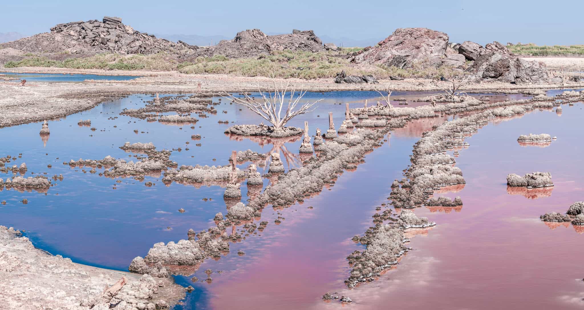 What's in The Salton Sea and Is It Safe to Swim? - A-Z Animals