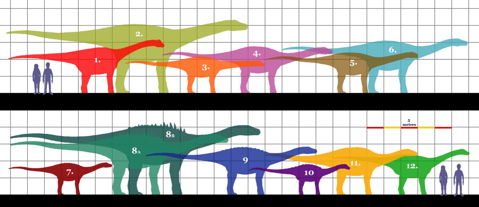 The Largest Sauropod in History - A-Z Animals