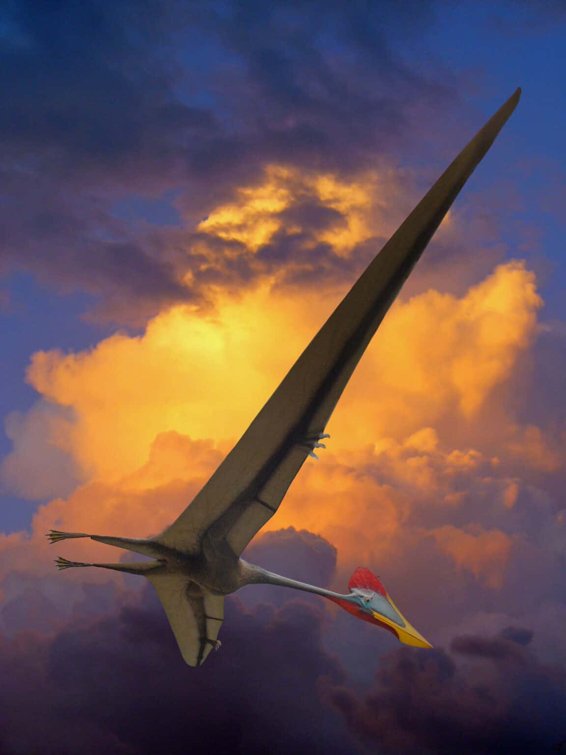 What Was The Largest Pterosaur? - A-Z Animals