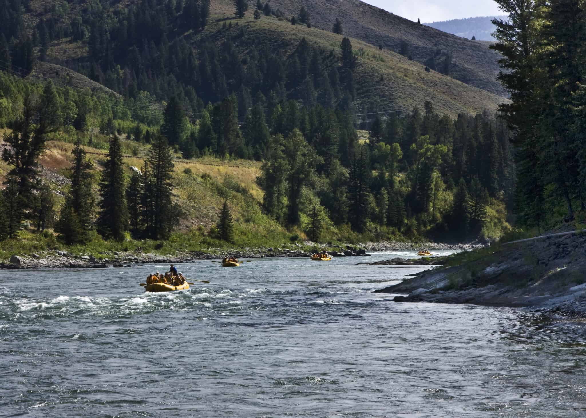 8 Rivers in Wyoming - A-Z Animals
