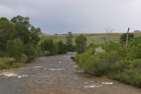 8 Rivers in Wyoming - A-Z Animals