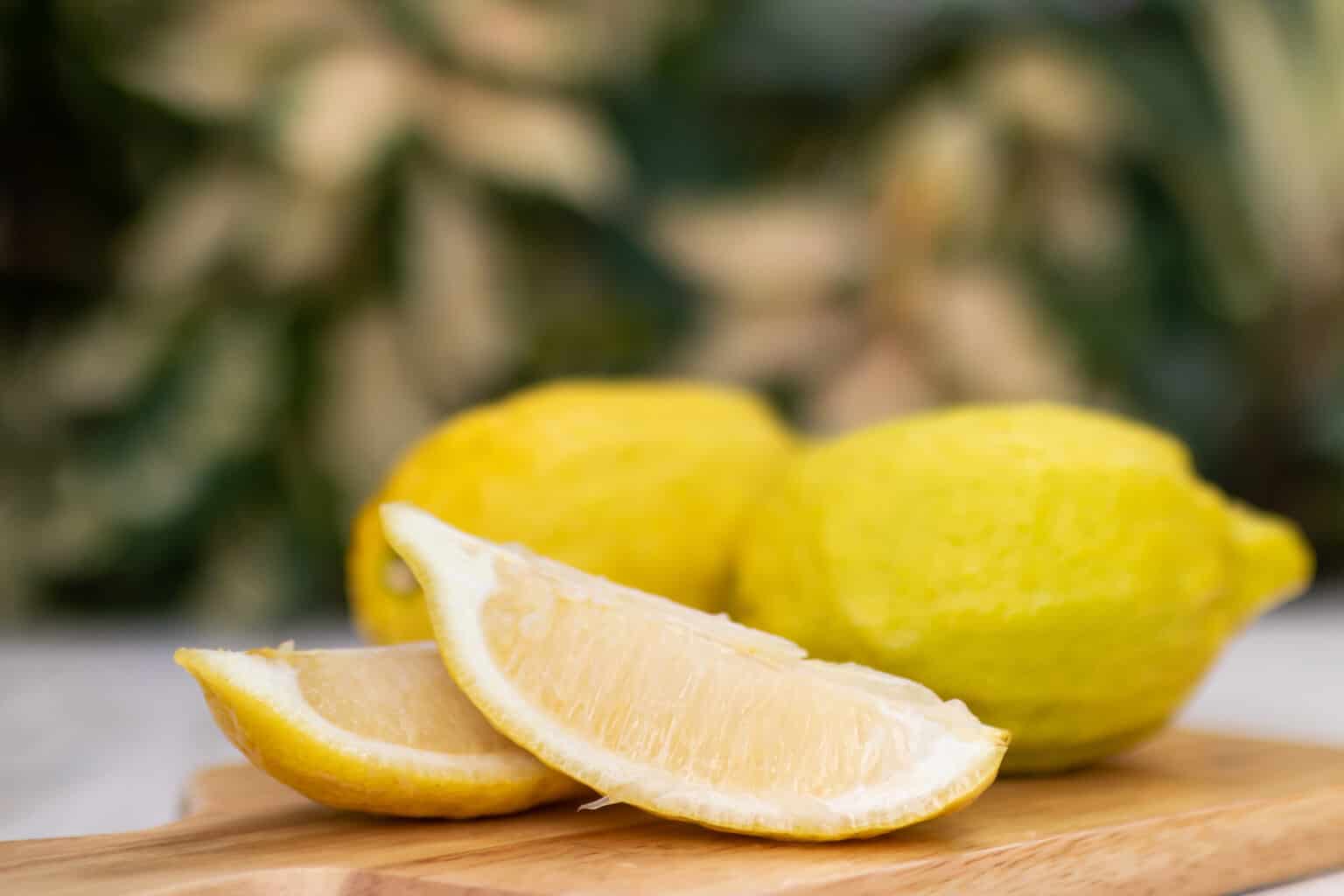 Banish Pet Fleas From Your Carpet With These Simple Methods - A-Z ...