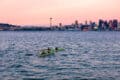 Discover the Top 4 Whales You'll Find in Puget Sound - A-Z Animals