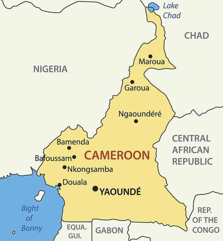 Wildlife in Cameroon - Types of Cameroonian Animals - A-Z Animals