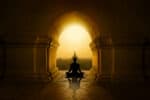 Discover the Bodhi Tree and Why It's So Important Throughout the World ...