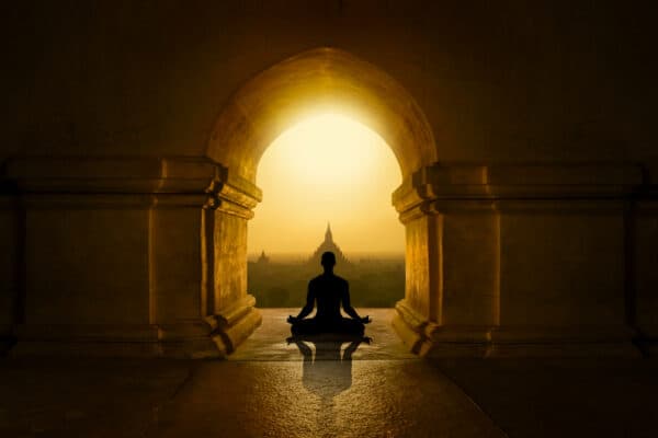 Discover the Bodhi Tree and Why It's So Important Throughout the World ...