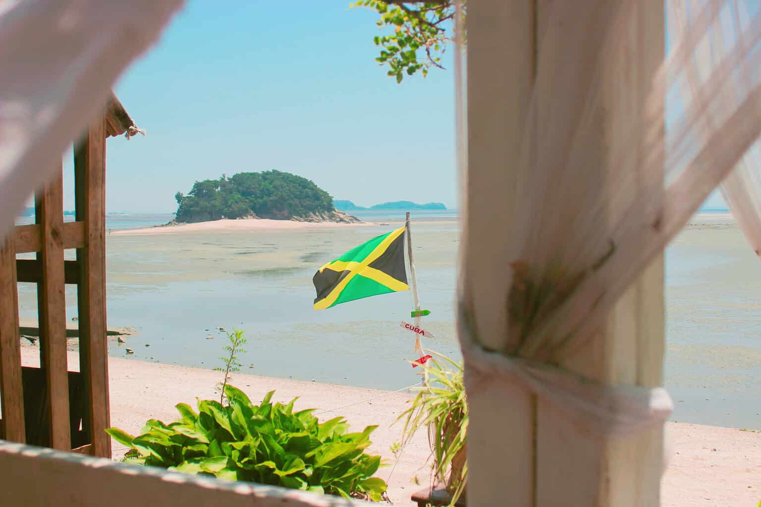 10 Notable Trees Native to Jamaica - A-Z Animals