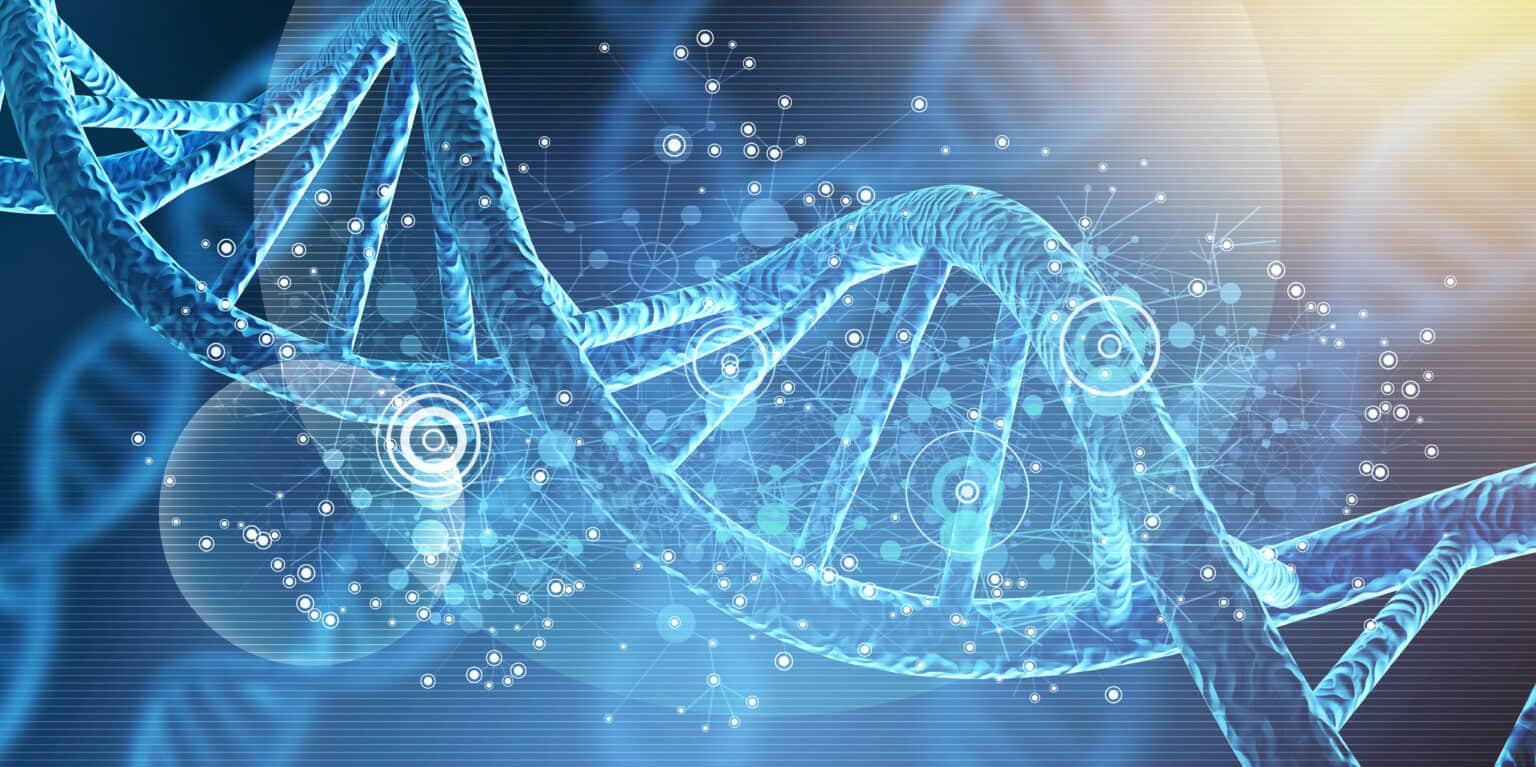 The Genetic Downside to Purebred Dog Breeding - A-Z Animals