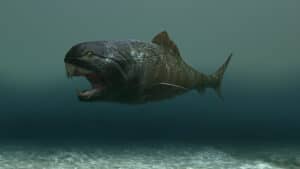 Discover 6 Incredible Devonian Period Animals - A-Z Animals