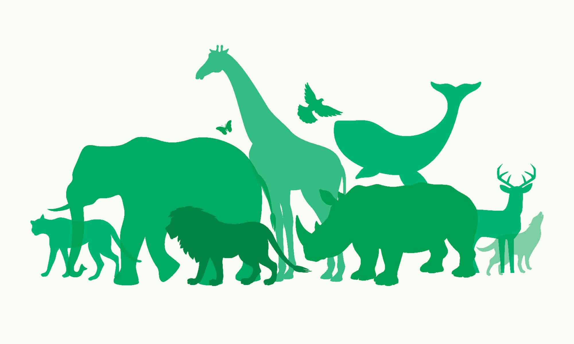 Discover 5 Endangered Species You Can Help Save Today! - A-Z Animals