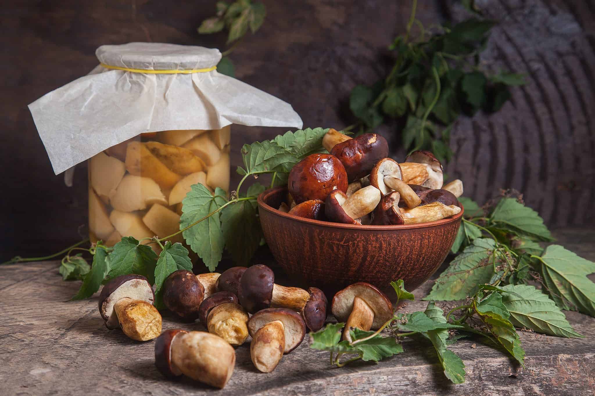 Bolete Mushrooms: A Complete Guide