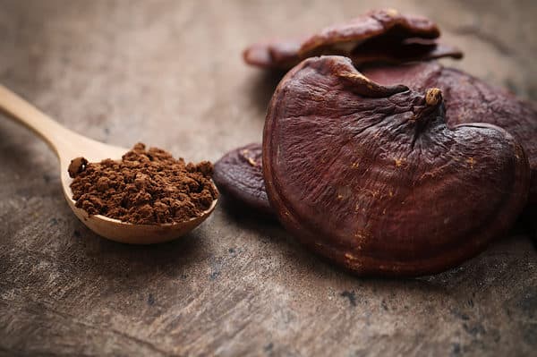 Reishi Mushrooms: A Complete Guide