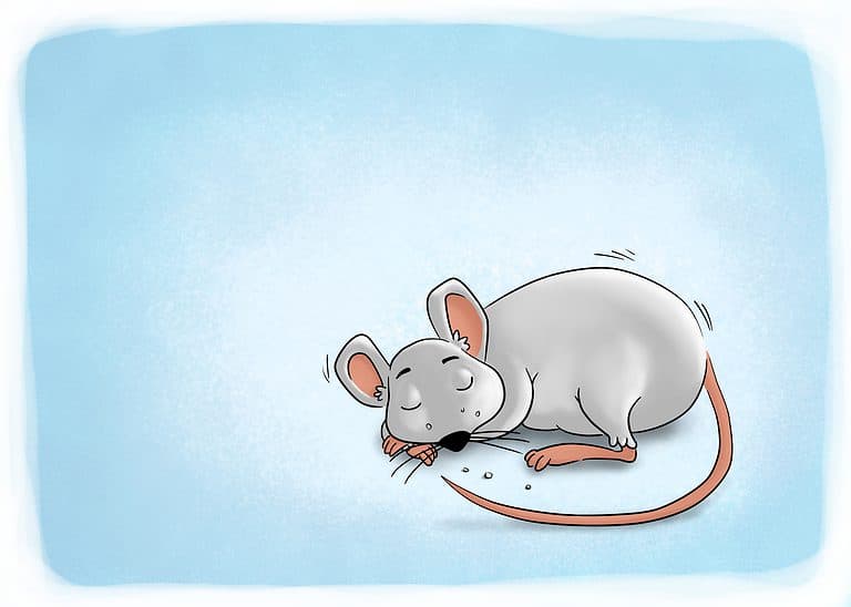 Discover the 104 Best Names for Your Pet Rat - A-Z Animals