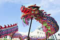 Were Dragons Real? Which Beasts Today Look Like Them?