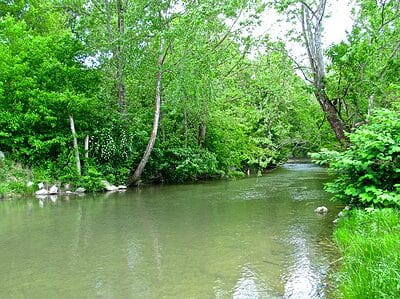 Discover the Deepest Lake in Kentucky - A-Z Animals