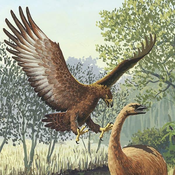 Discover a Massive Eagle That's 3X the Size of a Bald Eagle - A-Z Animals