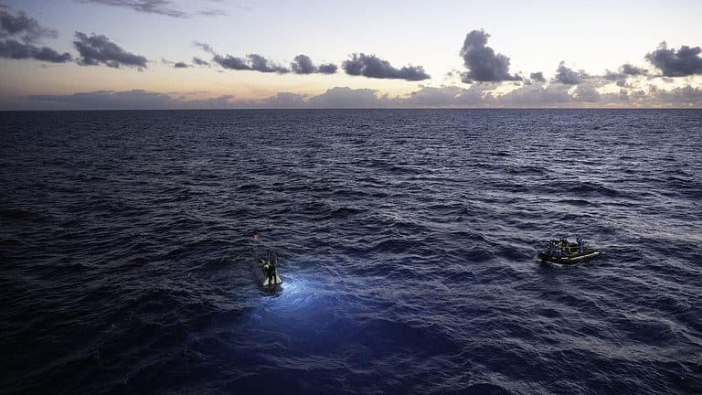 What Is an Ocean Trench and What Creatures Are Living There? - A-Z Animals