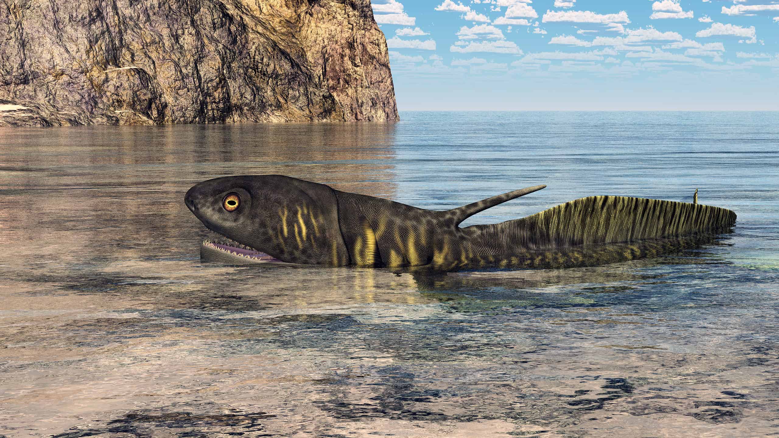 This Terrifying Eel-Shark Once Lived in North America - A-Z Animals ...