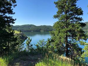 Discover the Largest Forest in South Dakota (And What Lives within It ...