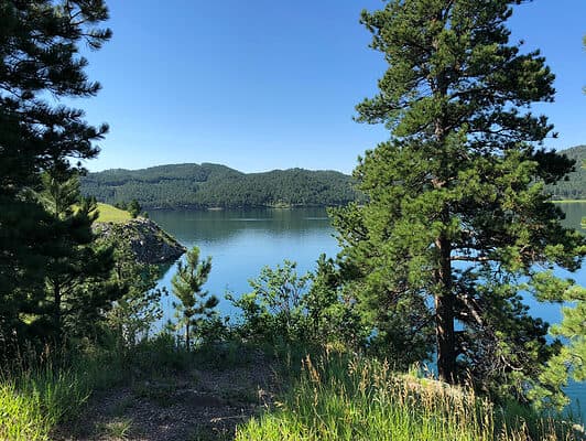Discover the Largest Forest in South Dakota (And What Lives within It ...
