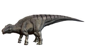 Shantungosaurus Animal Facts - Shantungosaurus giganteus - A-Z Animals
